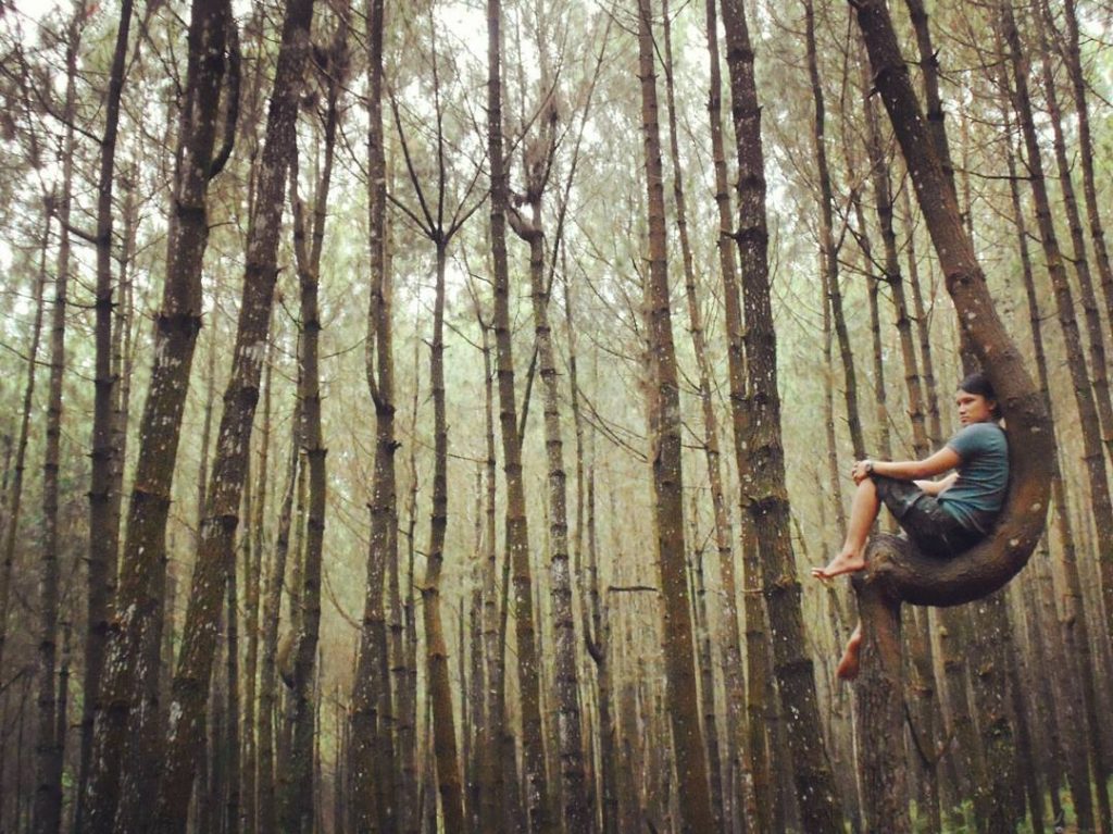 Say, Cheese! Inilah 4 Destinasi Wisata Semarang Instagramable yang ...