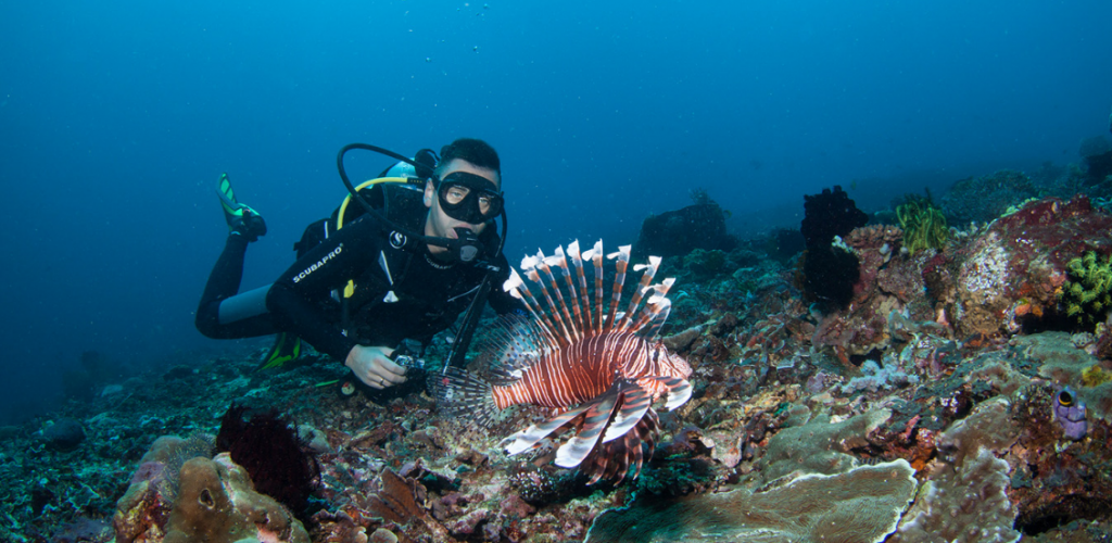 6 Tempat Diving Di Bali Untuk Pemula Favorit Wisatawan Indonesia