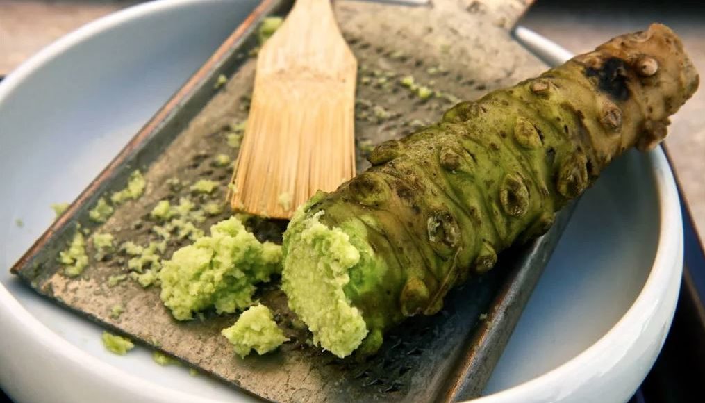 7 Fakta Wasabi Untuk Penggemar Sushi dan Makanan Khas Jepang!