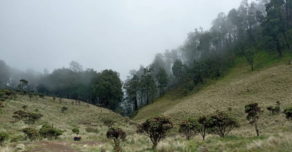 9 Gunung dengan Padang Rumput yang Paling Indah di Indonesia ...