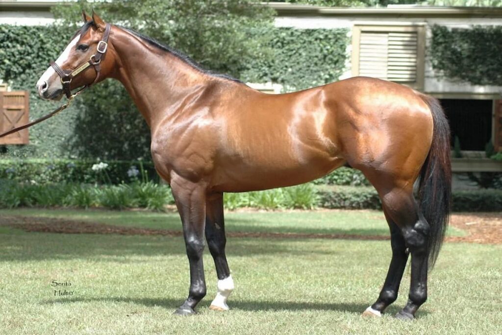 20 Hewan Peliharaan Paling Mahal di Dunia, Menakjubkan!