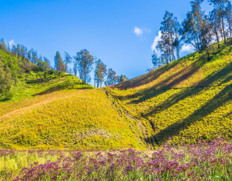 9 Gunung dengan Padang Rumput yang Paling Indah di Indonesia ...