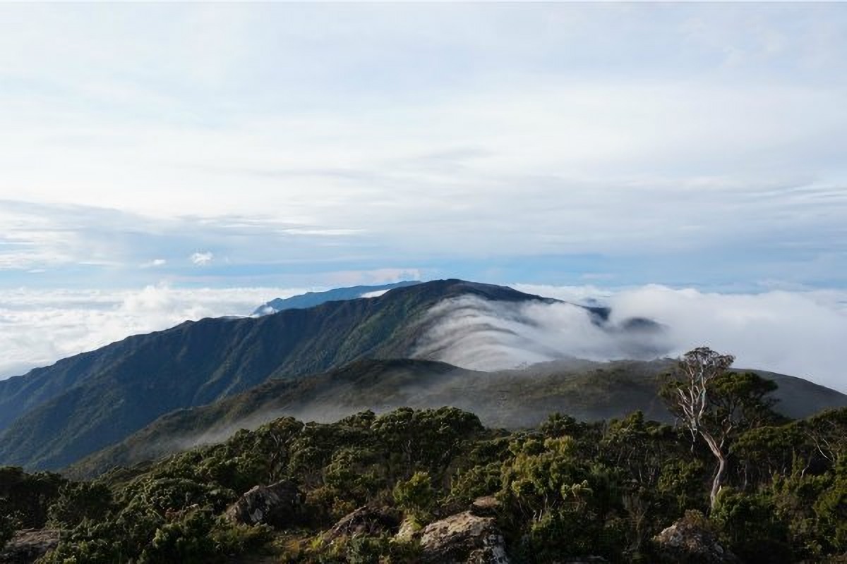 From Carstensz to Semeru: The Seven Summits of Indonesia