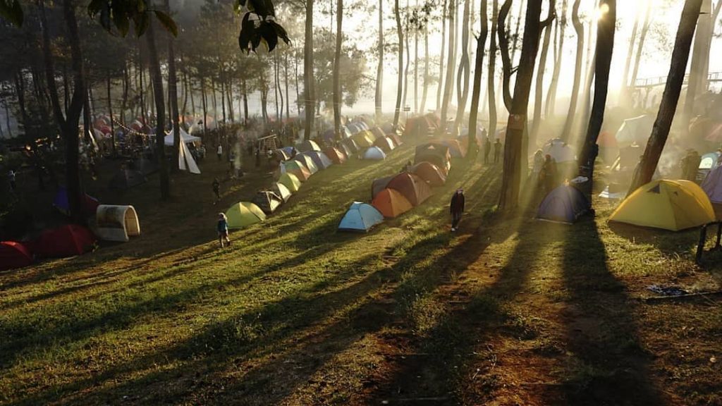 Intip Keindahan Hutan Pinus Rahong yang Segar dan Asri!