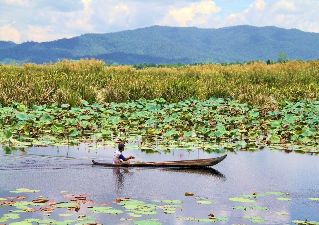 Tidak Kalah Indah, Intip 6 Destinasi Wisata Rawa-rawa di Indonesia Berikut Ini!