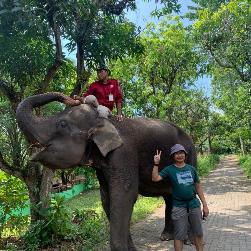 Semarang Zoo: Salah Satu Destinasi Wisata Edukasi Terbaik di Semarang!