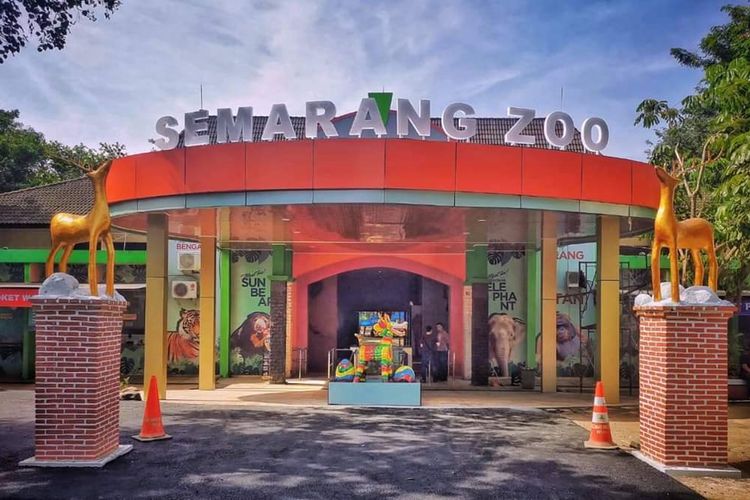 Semarang Zoo: Salah Satu Destinasi Wisata Edukasi Terbaik di Semarang!