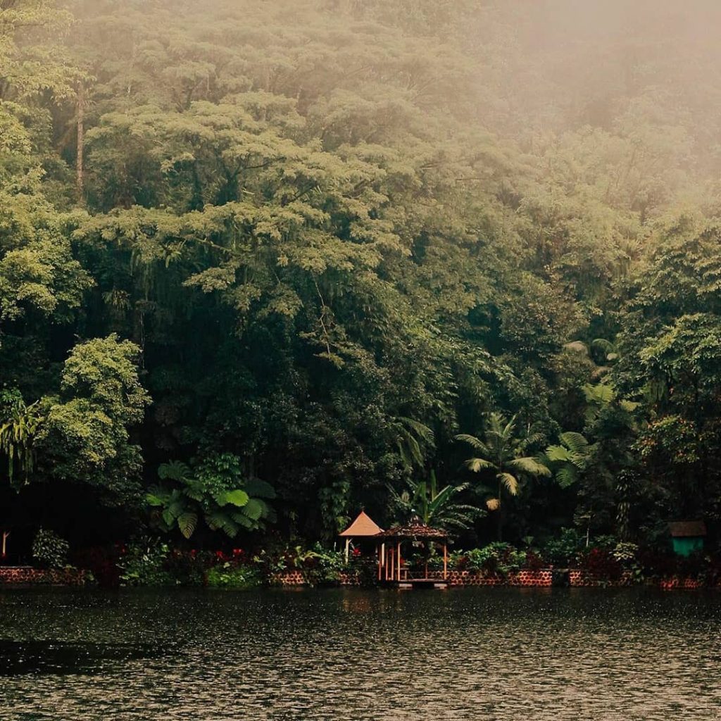 Tidak Kalah Indah, Intip 6 Destinasi Wisata Rawa-rawa di Indonesia ...