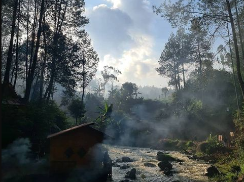 Intip Keindahan Hutan Pinus Rahong yang Segar dan Asri!