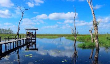 Tidak Kalah Indah, Intip 6 Destinasi Wisata Rawa-rawa di Indonesia ...