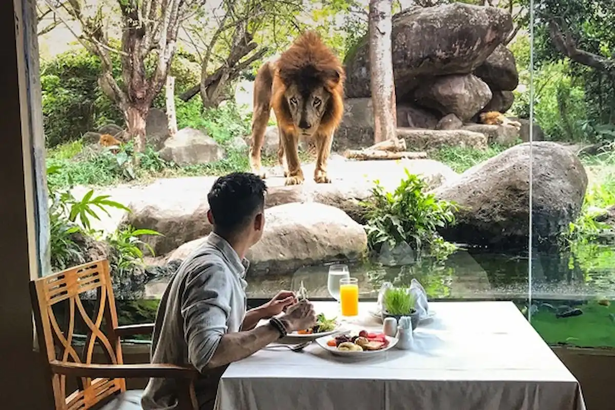 10 Perbedaan Bali Zoo dan Bali Safari Park, Apa Saja?