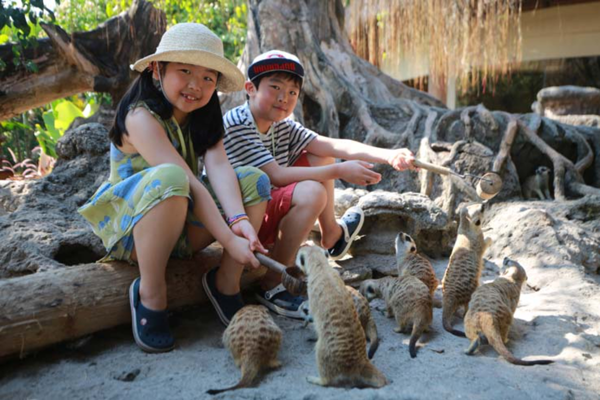 10 Tips Liburan ke Bali dengan Anak dan Keluarga - Bobobox