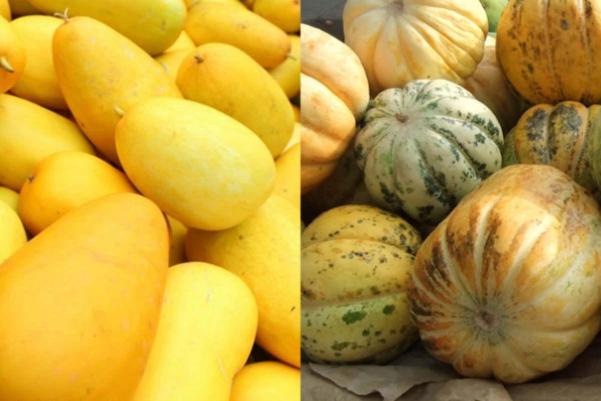 6 Perbedaan Timun Suri dan Blewah yang Wajib Diketahui