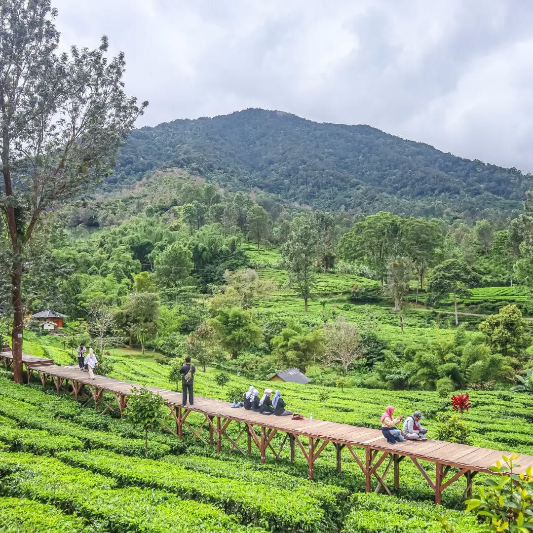 20 Destinasi Wisata Puncak Bogor Ini Seru Banget!