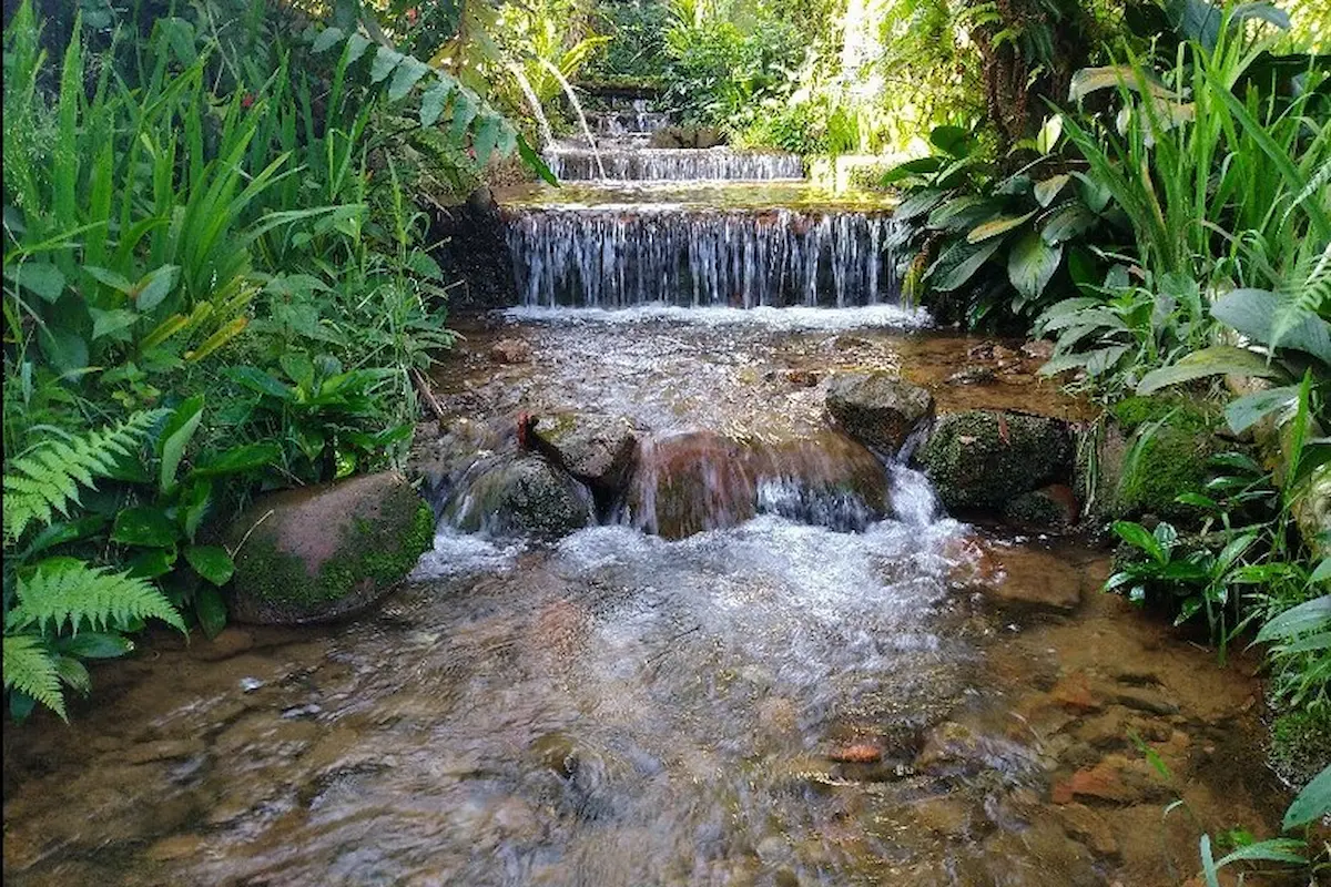 20 Tempat Liburan di Puncak Bogor yang Menyenangkan