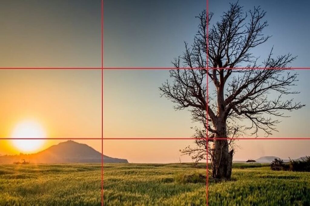 Mengenal Rule of Thirds, Teknik Wajib untuk Kamu Fotografer