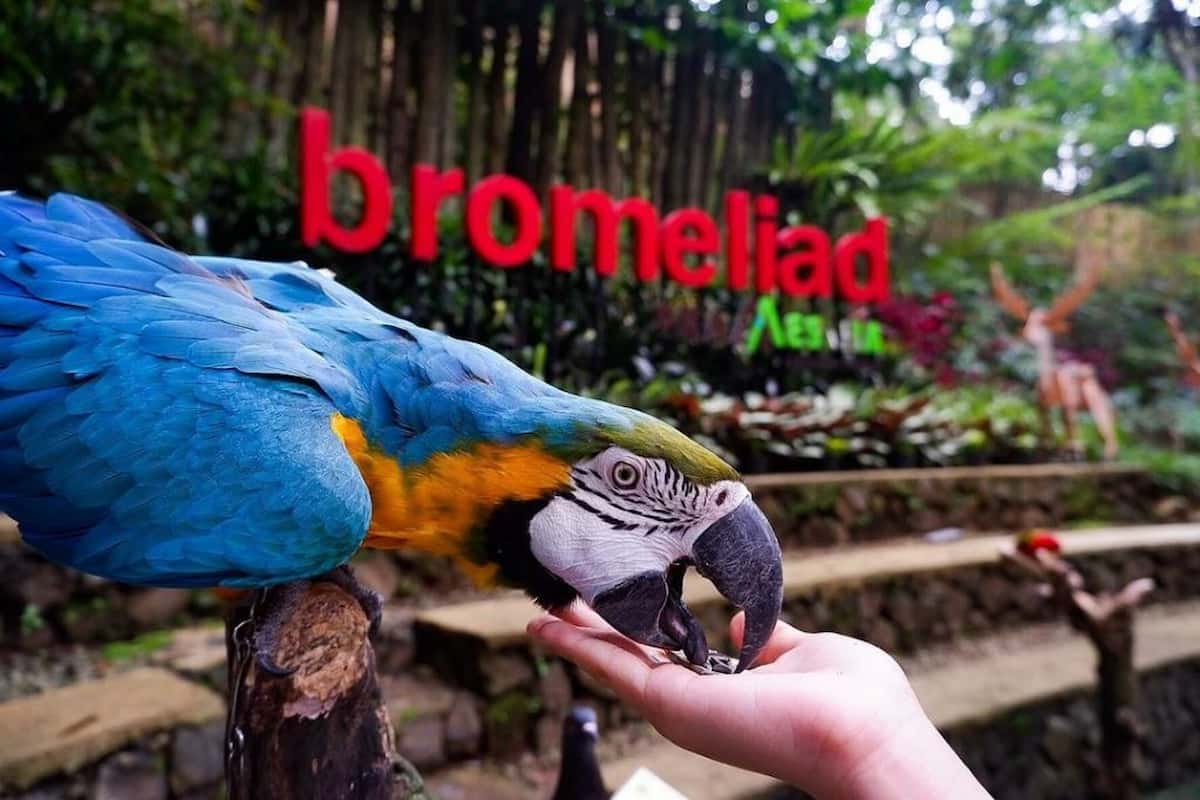 16 Tempat Wisata Dago yang Hits dan Menyenangkan, Apa Saja?