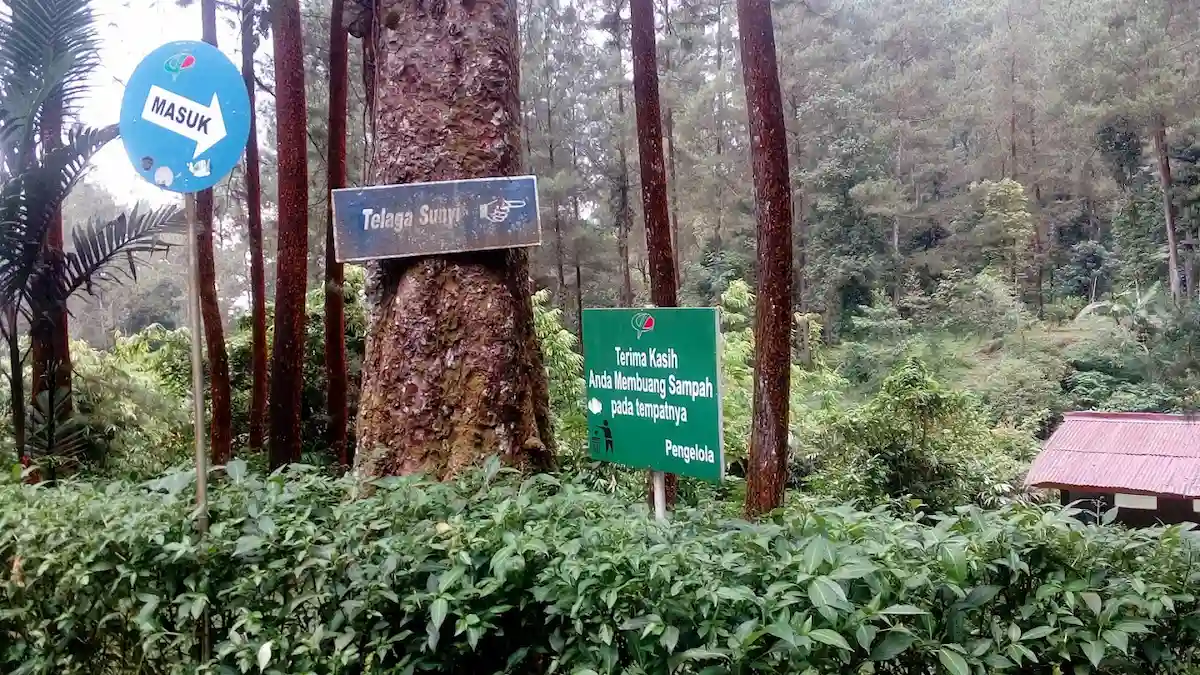 Telaga Sunyi Purwokerto: Harga Tiket, Jam Buka & Daya Tariknya