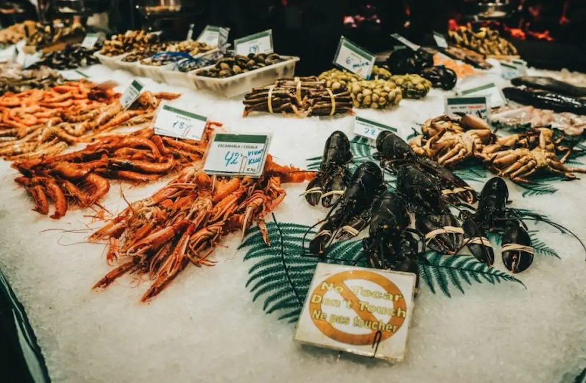 11 Jenis Seafood Sehat yang Kaya Omega-3 & Wajib Dikonsumsi