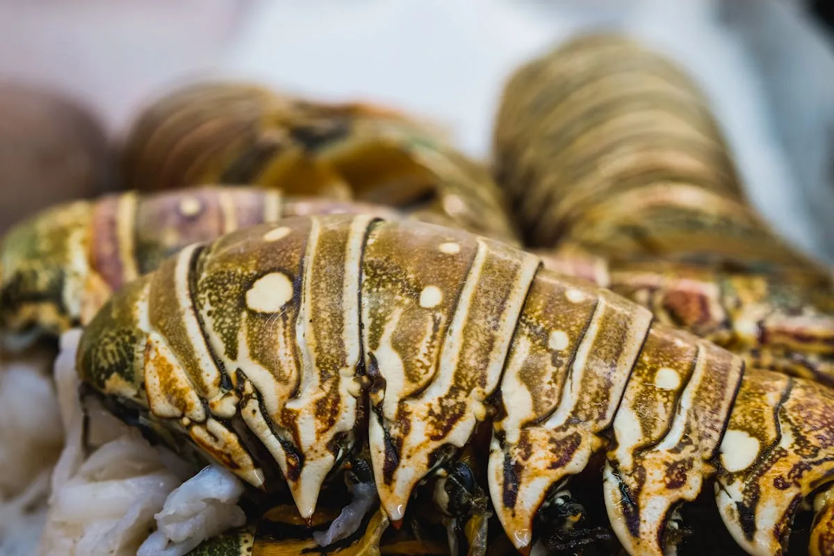 16 Jenis Seafood Sehat yang Aman Dikonsumsi