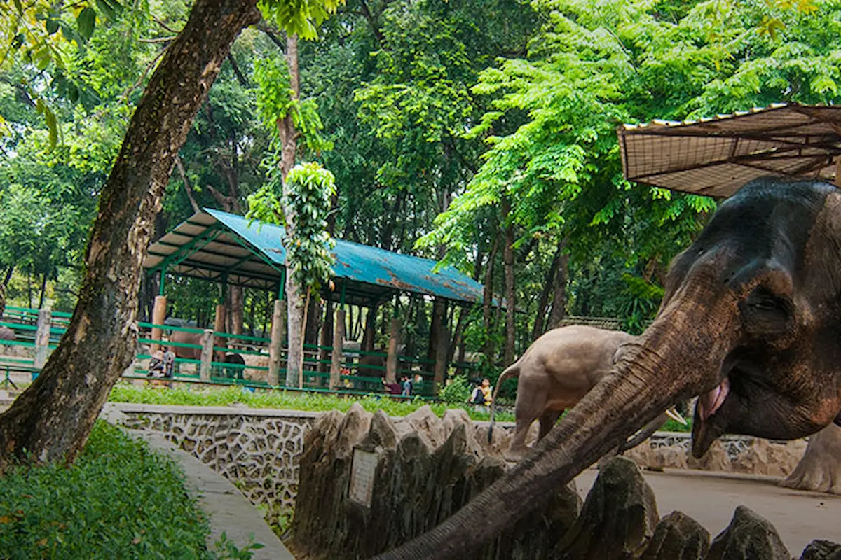 12 Wisata Libur Lebaran di Jakarta yang Tetap Buka