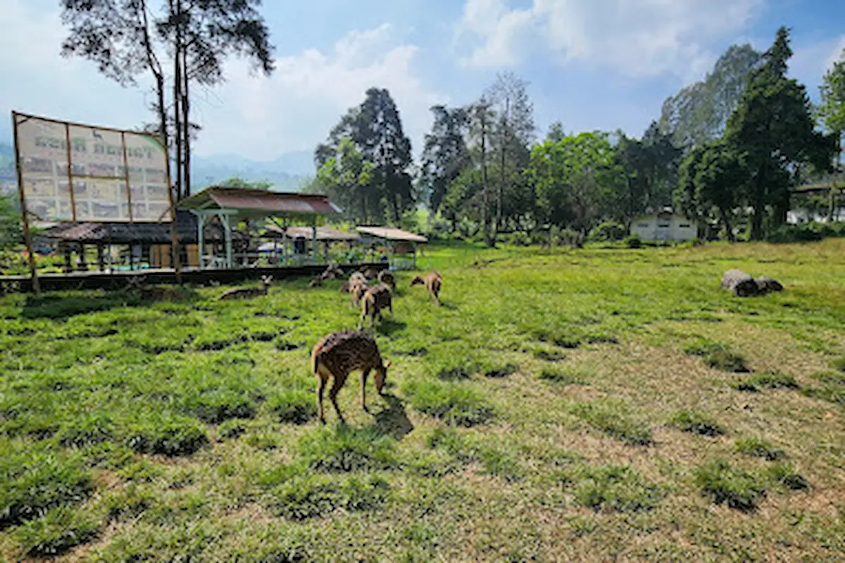 8 Wisata Pangalengan untuk Keluarga, Cocok buat Liburan