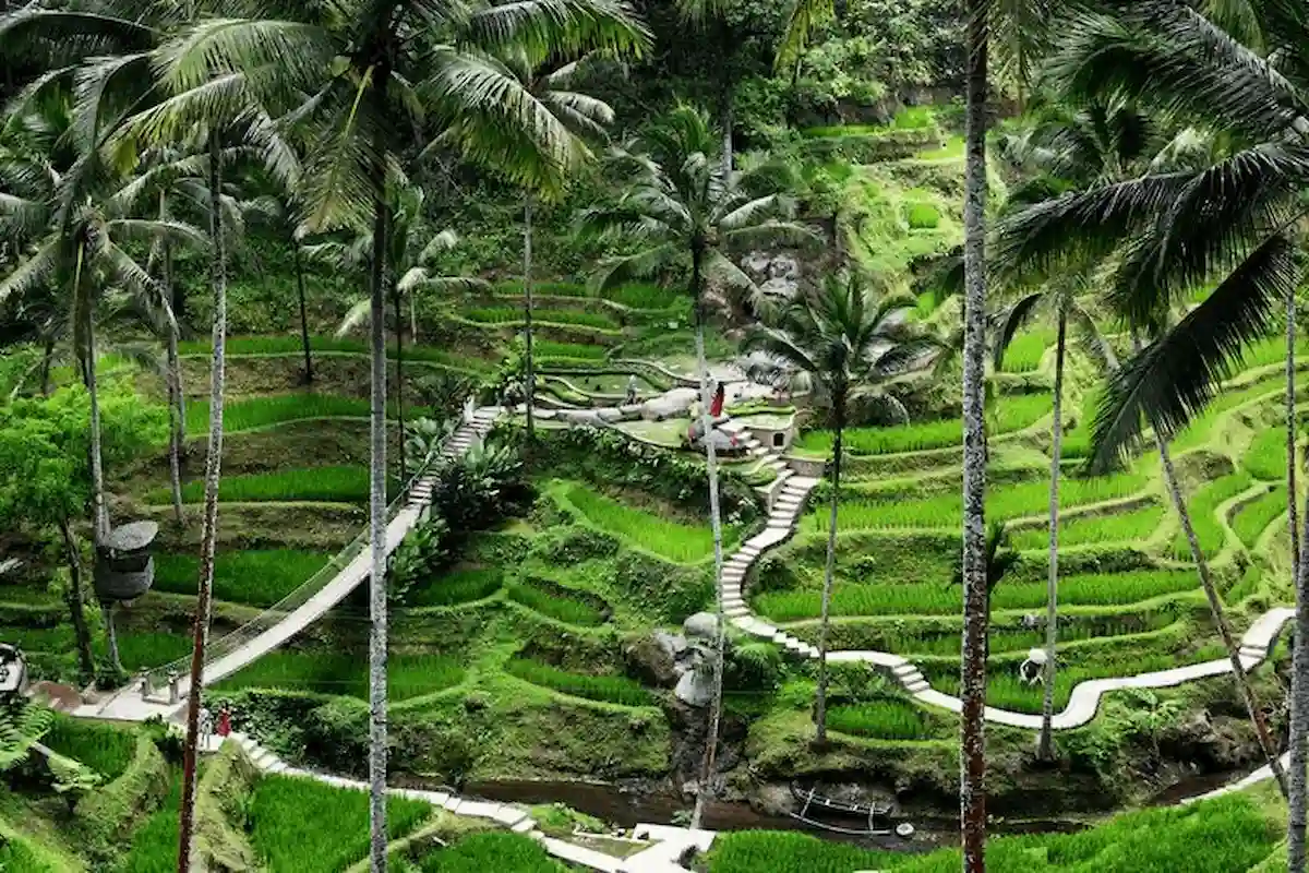 6 Things to Do in Ubud at Night, No. 2 is the Best!