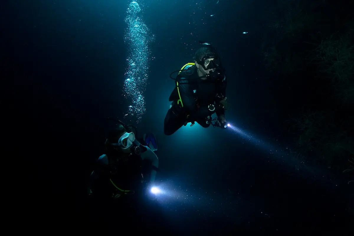7 Night Diving Tips You Should Take Note Of