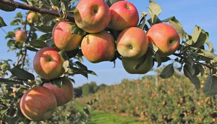 Liburan Budget 300 Ribuan di Malang, Bisa Ngapain Aja, Ya?