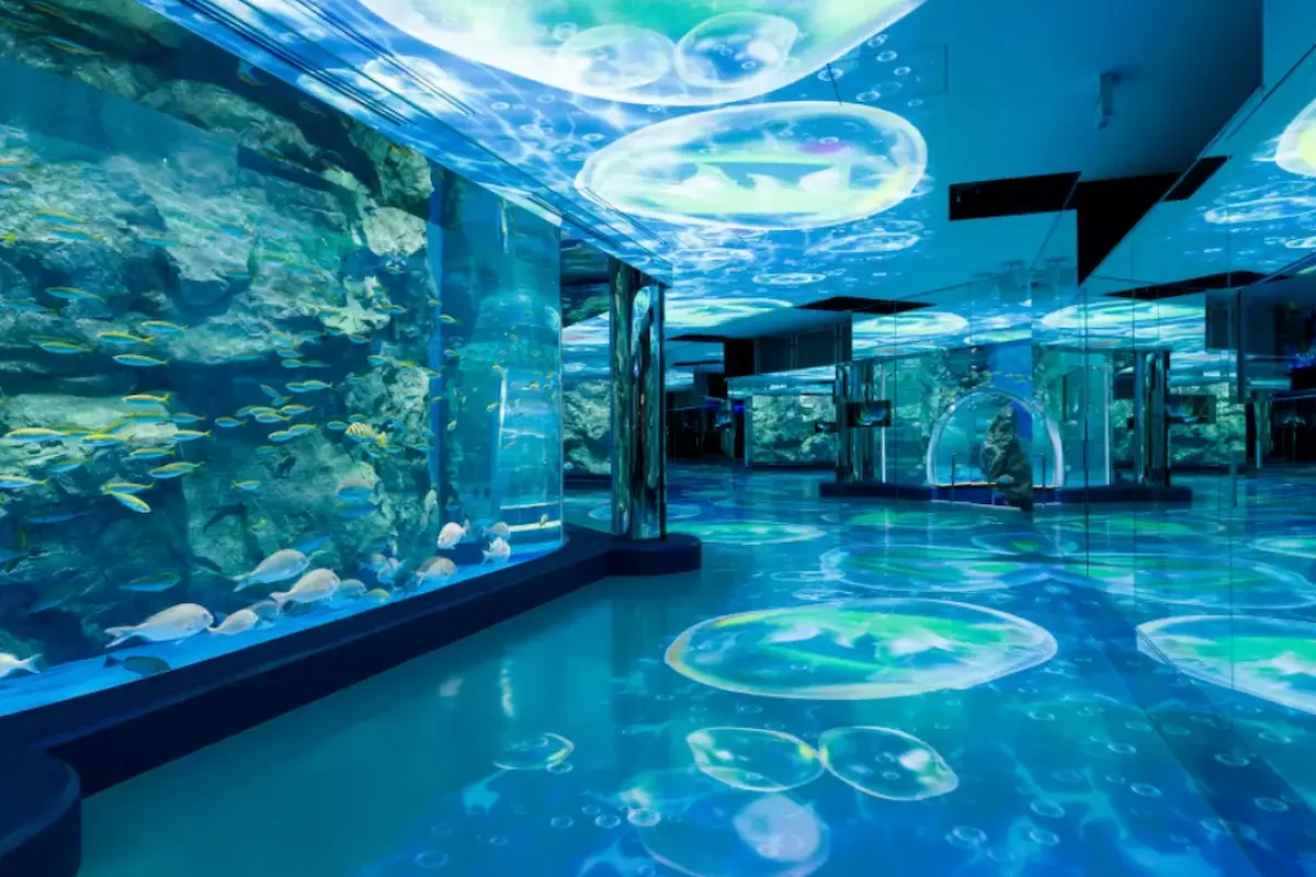 27 Tempat Wisata di Jakarta Barat yang Wajib Kamu Kunjungi!