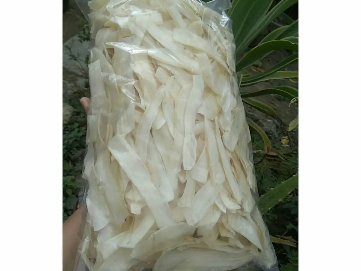 13 Oleh-Oleh Khas Gunung Kidul untuk Orang Tercinta di Rumah