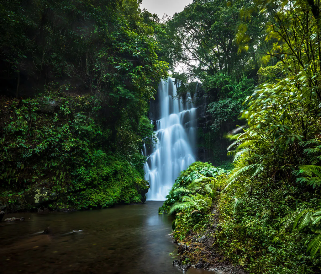 Explore 4 Best Waterfalls in Ubud in This 48-Hour Trip Itinerary
