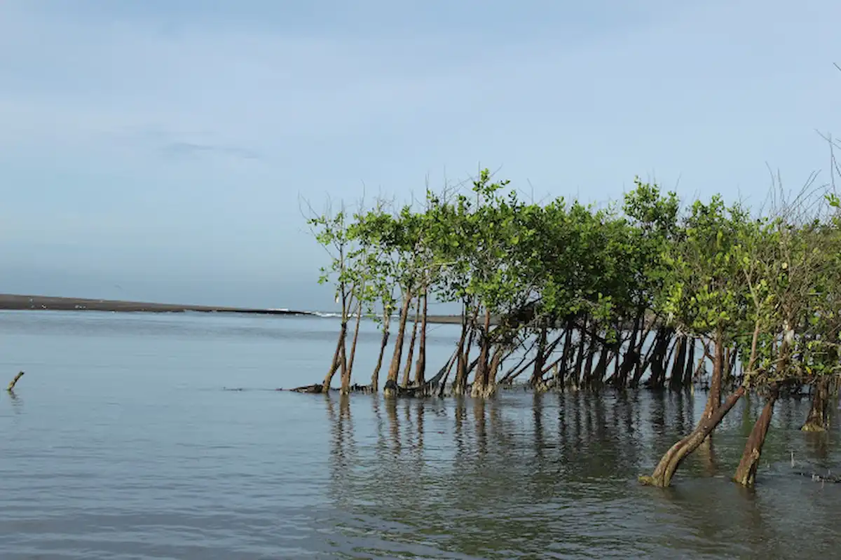 Pantai Baros: Melihat Daya Tarik, Rute & Jam Operasionalnya