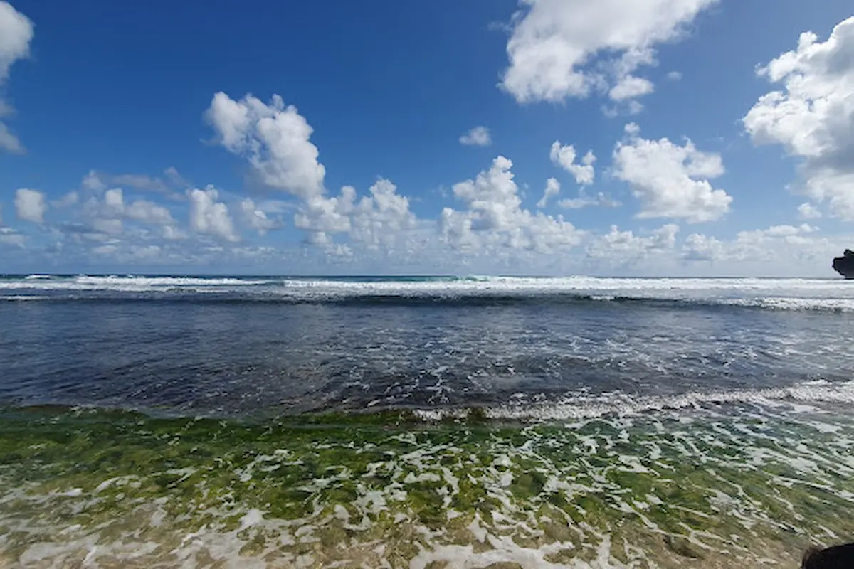 5 Pantai Snorkeling Gunung Kidul yang Tidak Boleh Dilewatkan