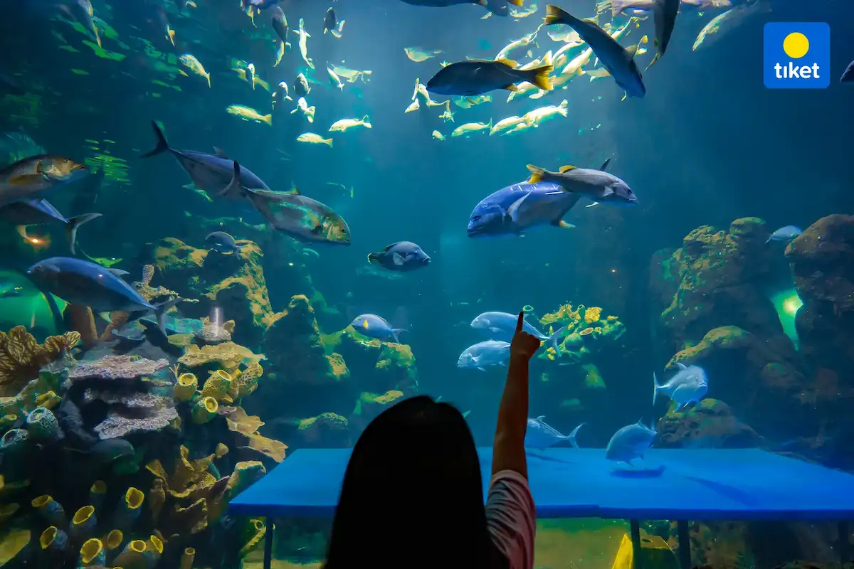 12 Taman Bunga Terindah di Indonesia, Ada Daerahmu Nggak?