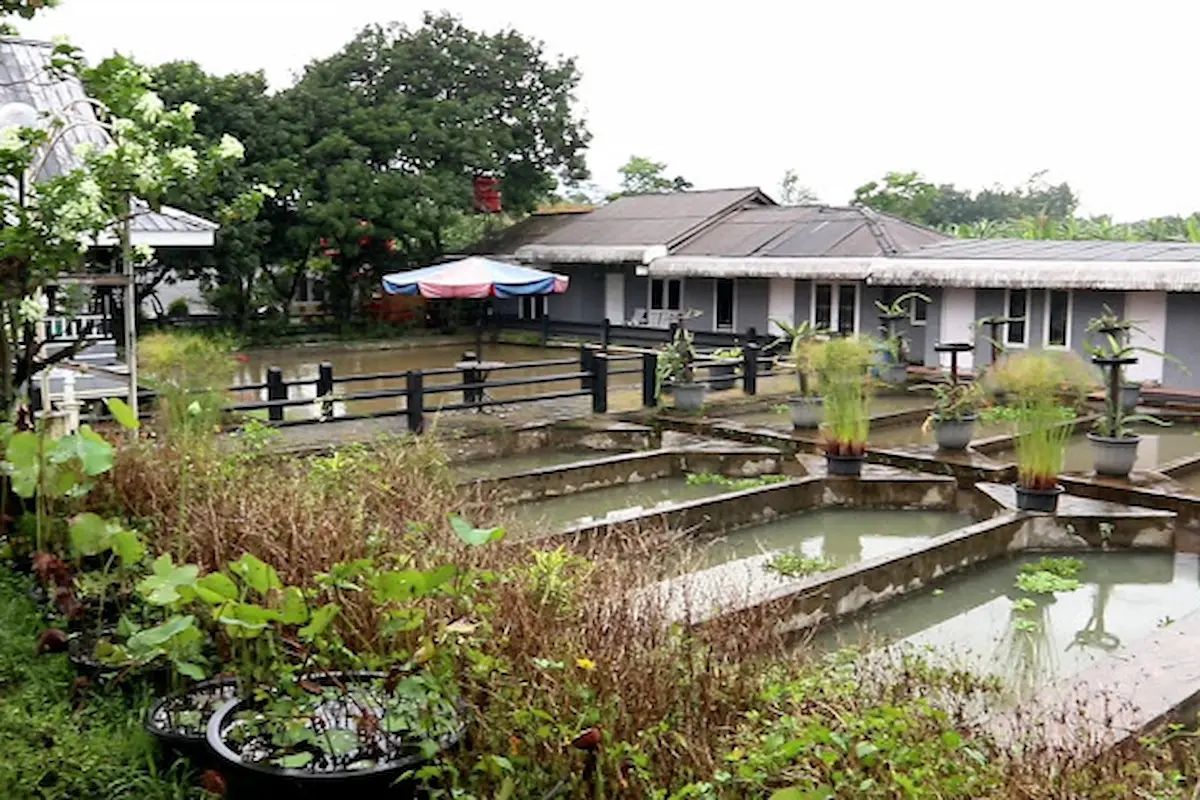 15 Tempat Wisata Anak di Sentul yang Wajib Dikunjungi!