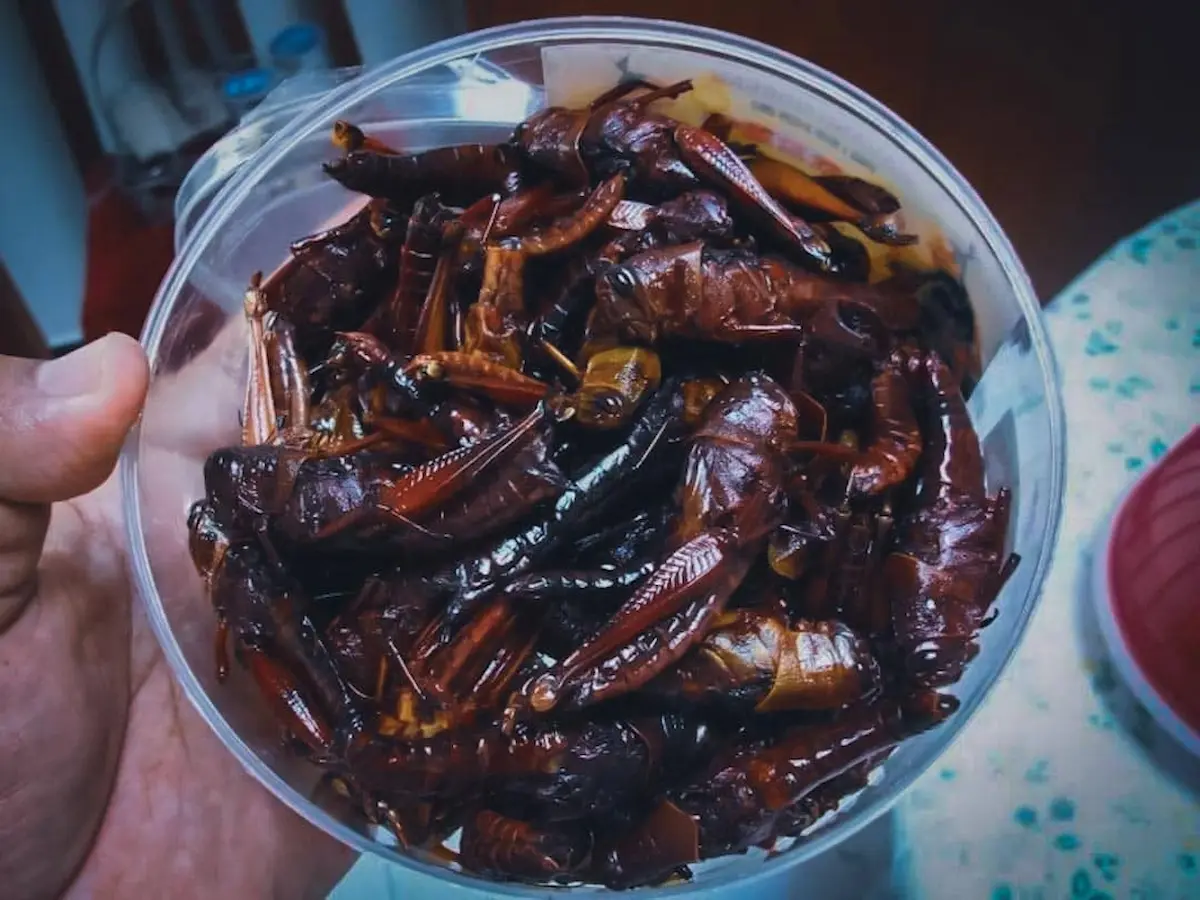 13 Oleh-Oleh Khas Gunung Kidul untuk Orang Tercinta di Rumah