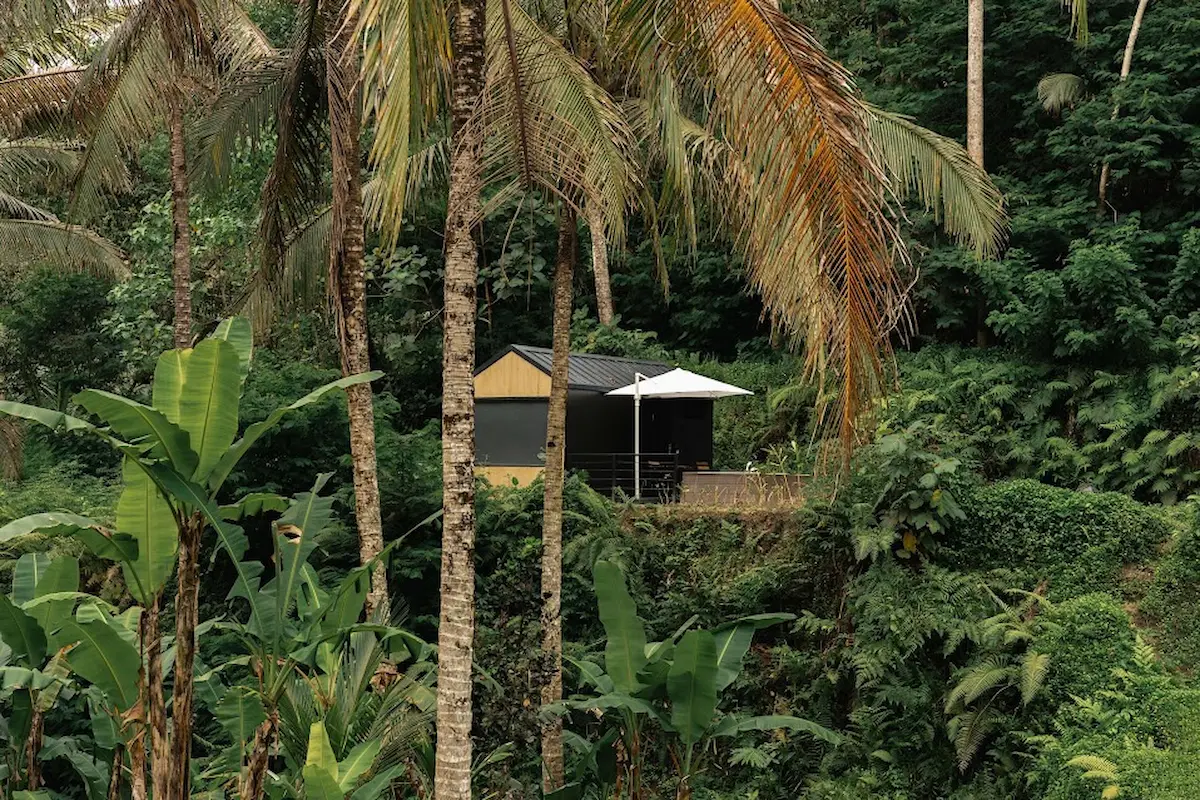 9 Things to Do in Canggu: Explore Bali's Vibrant Coastal Gem!