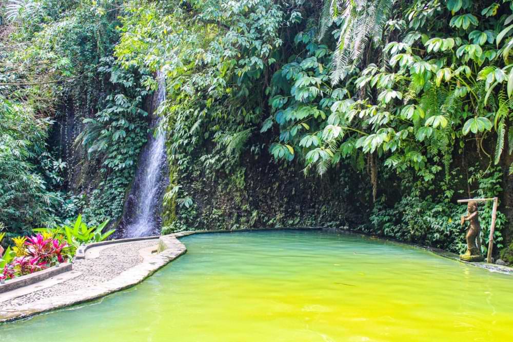 8 Best Bali Springs for Wellness Seekers