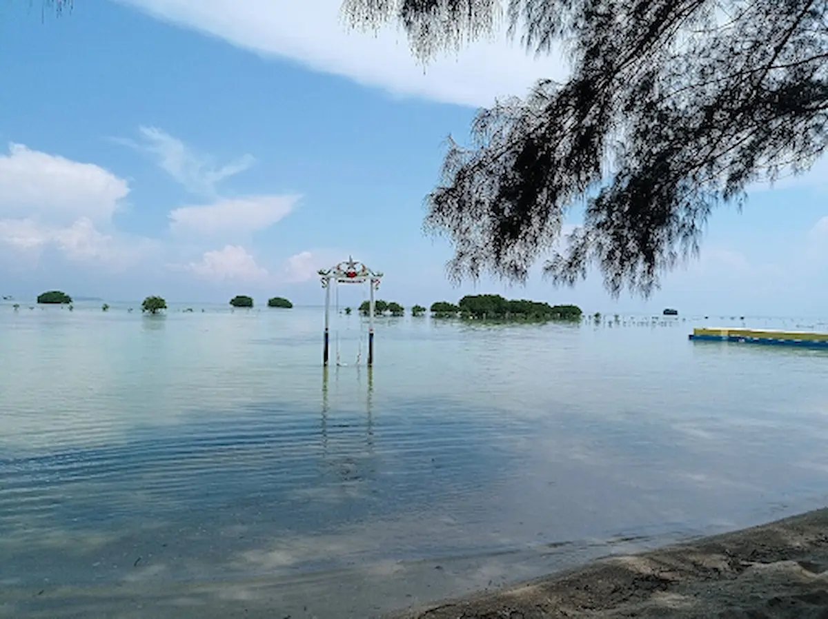 Snorkeling Pulau Pari: Ini Dia Daya Tarik, Rute, dan Tipsnya