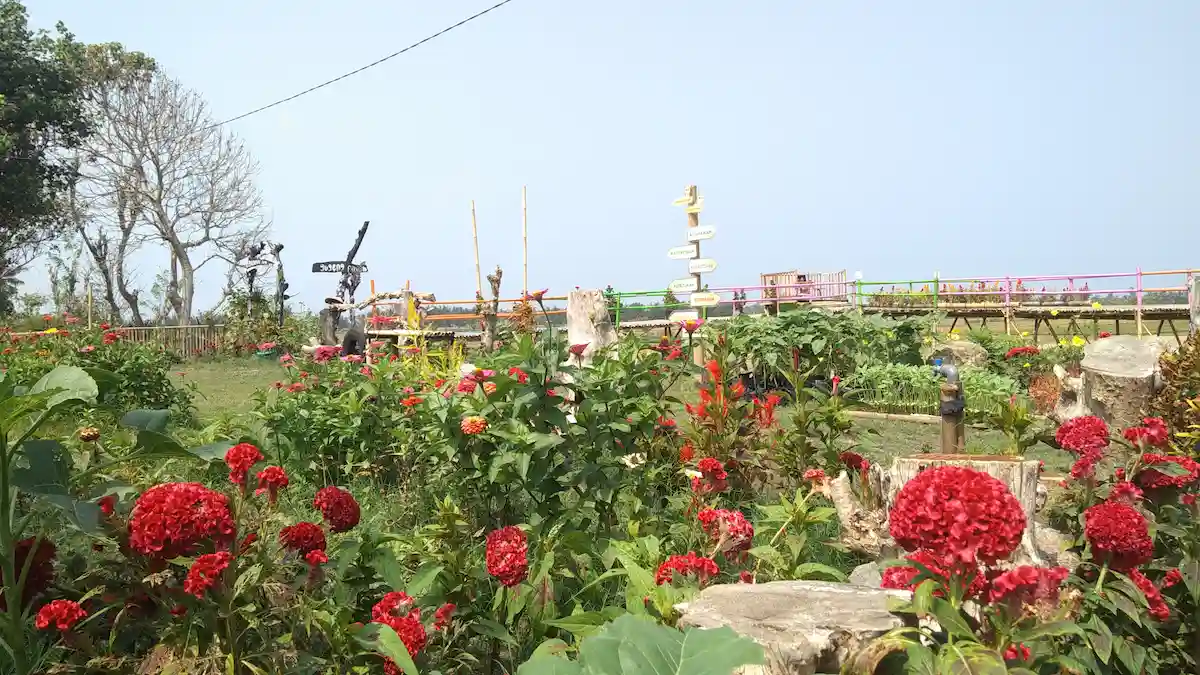 8 Pilihan Tempat Wisata Malam Bantul yang Menarik, Apa Saja?