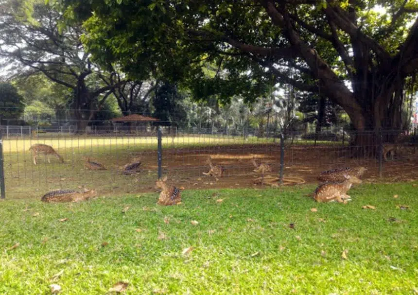 11 Tempat Wisata di Bekasi yang Seru dan Populer