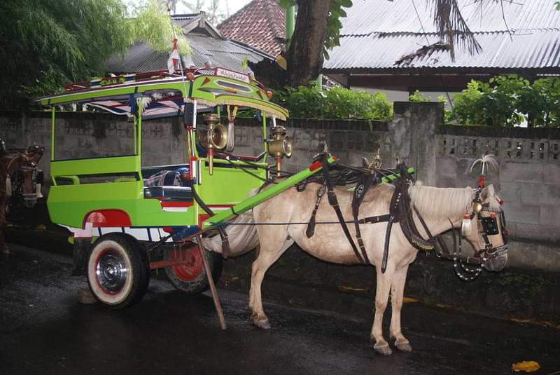 How to Get Around Lombok & Transport Options