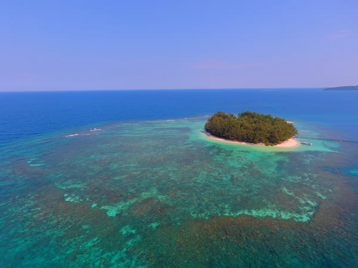 Snorkeling Karimunjawa: Daya Tarik, Rute & 5 Spot Menariknya
