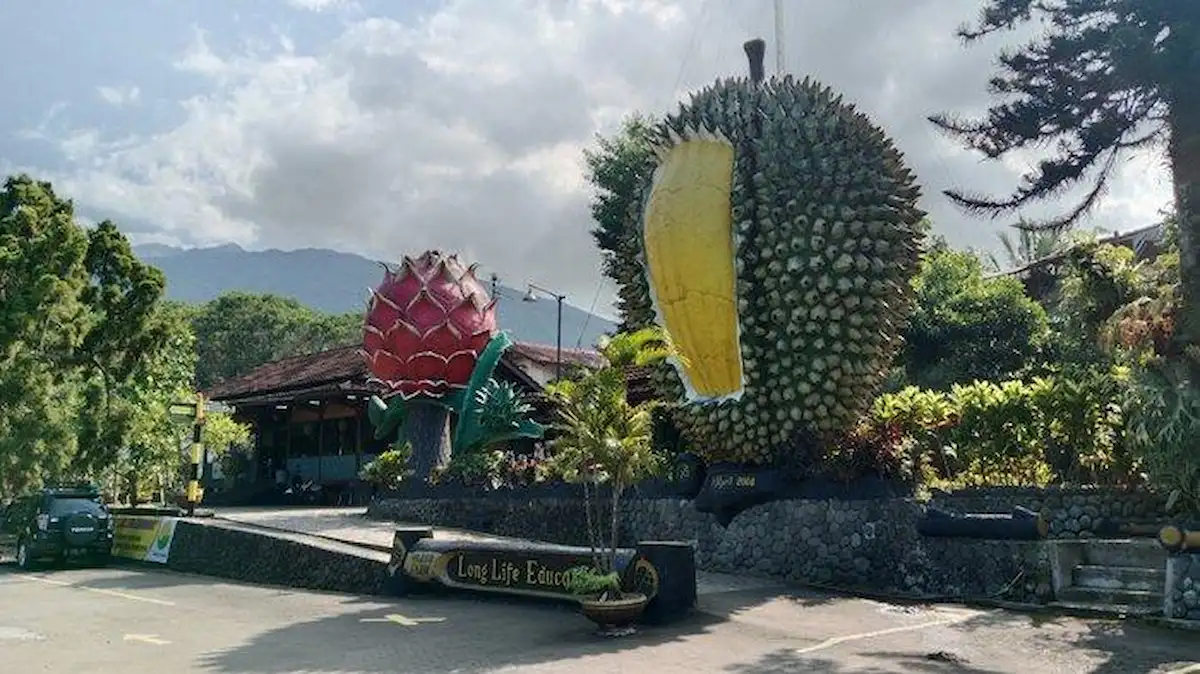 10 Tempat Wisata Gratis di Bogor: Rekomendasi Tempat Serunya