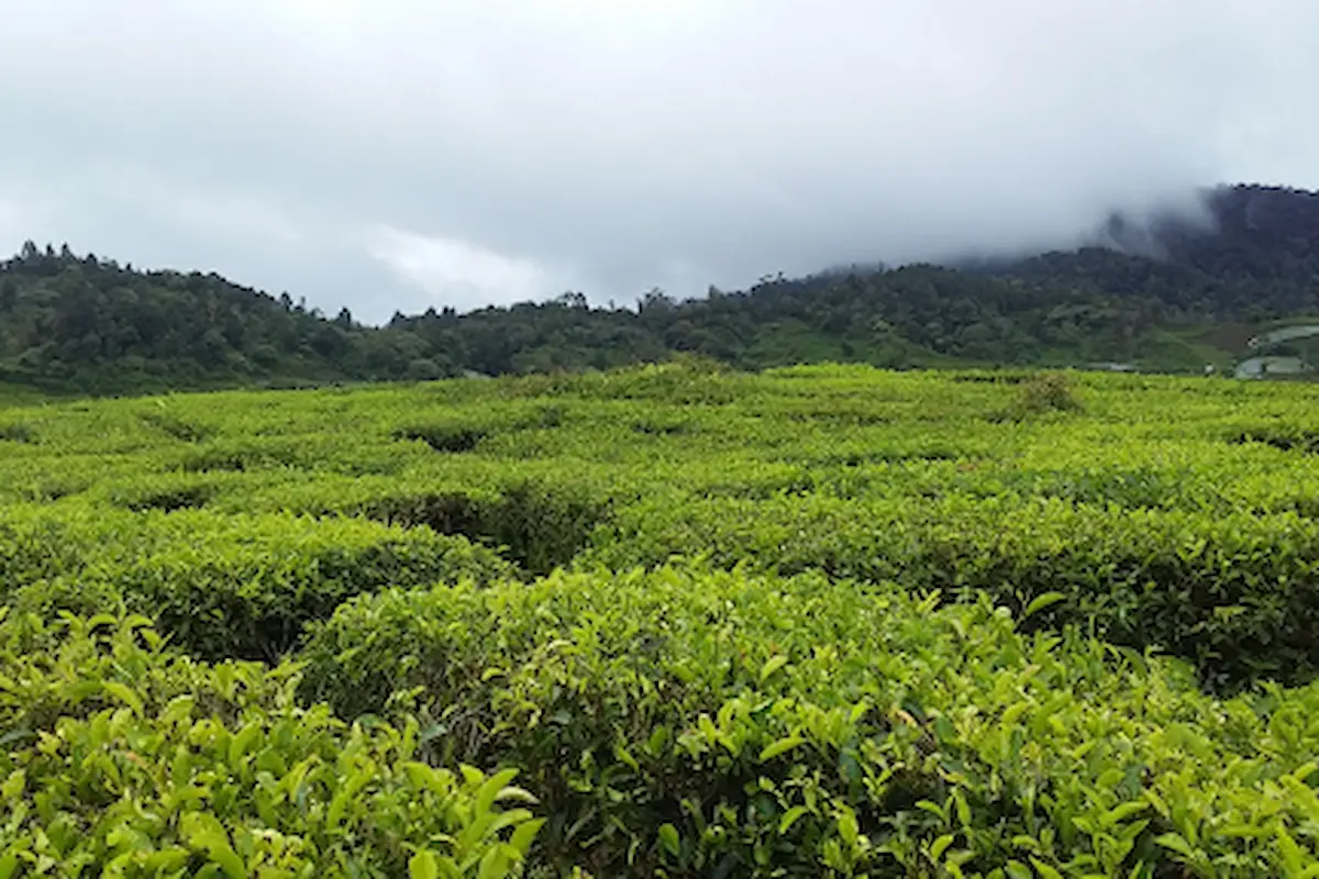15 Tempat Wisata di Solok yang Wajib Kamu Kunjungi!