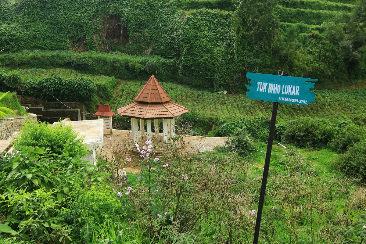 7 Wisata Malam Dieng yang Cocok Bareng Teman-Teman