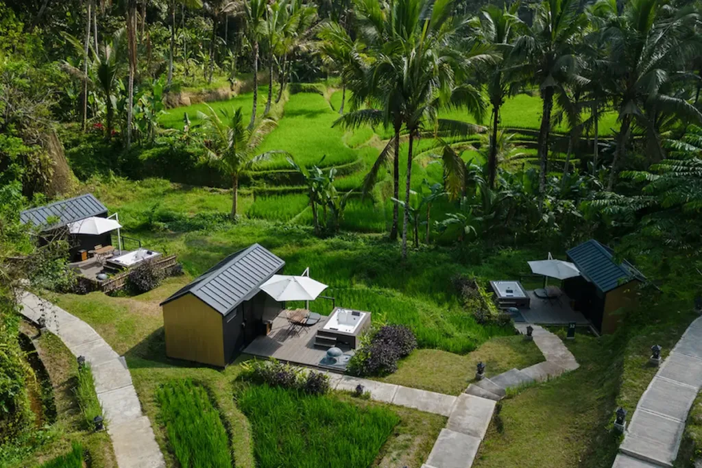 3 Rekomendasi Book Cafe Ubud, Pecinta Buku Wajib Mampir!