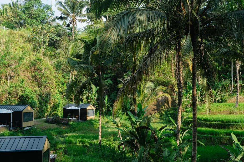 9 Best Things to Do in Ubud to Spend Your Vacation the Right Way
