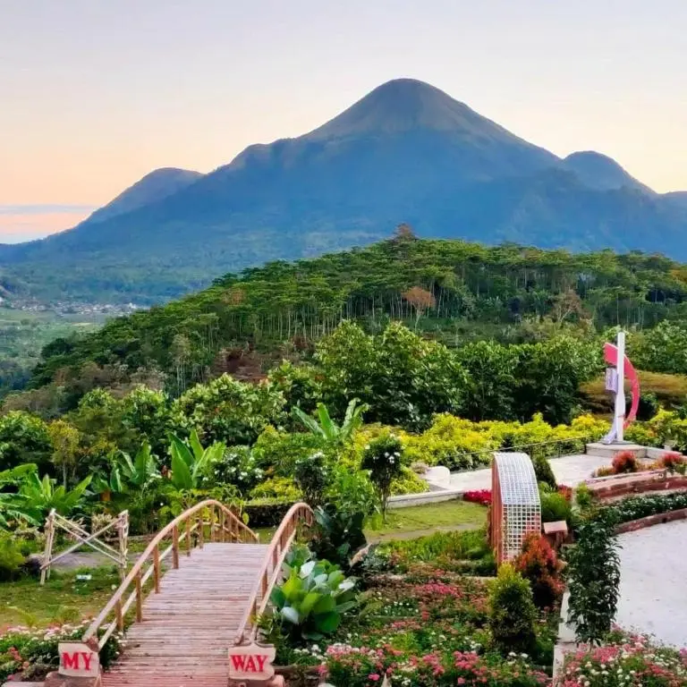 Seru! 5 Rekomendasi Tempat Gathering di Trawas yang Boleh Jadi Pertimbangan